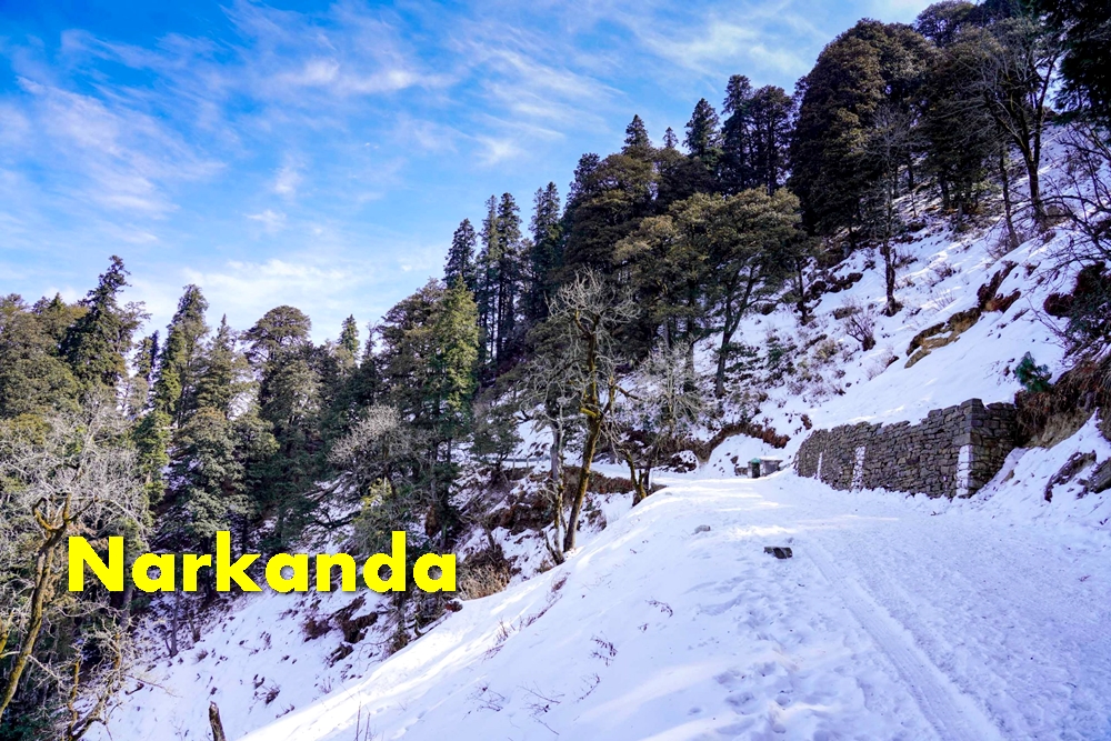 5 Tourist Places In Narkanda That Will Add Joy To Your Trip