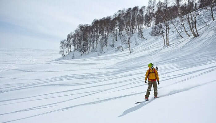 Top 5 Adventure Activities You Must Try In Manali